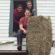 chicken coop - the Farm School